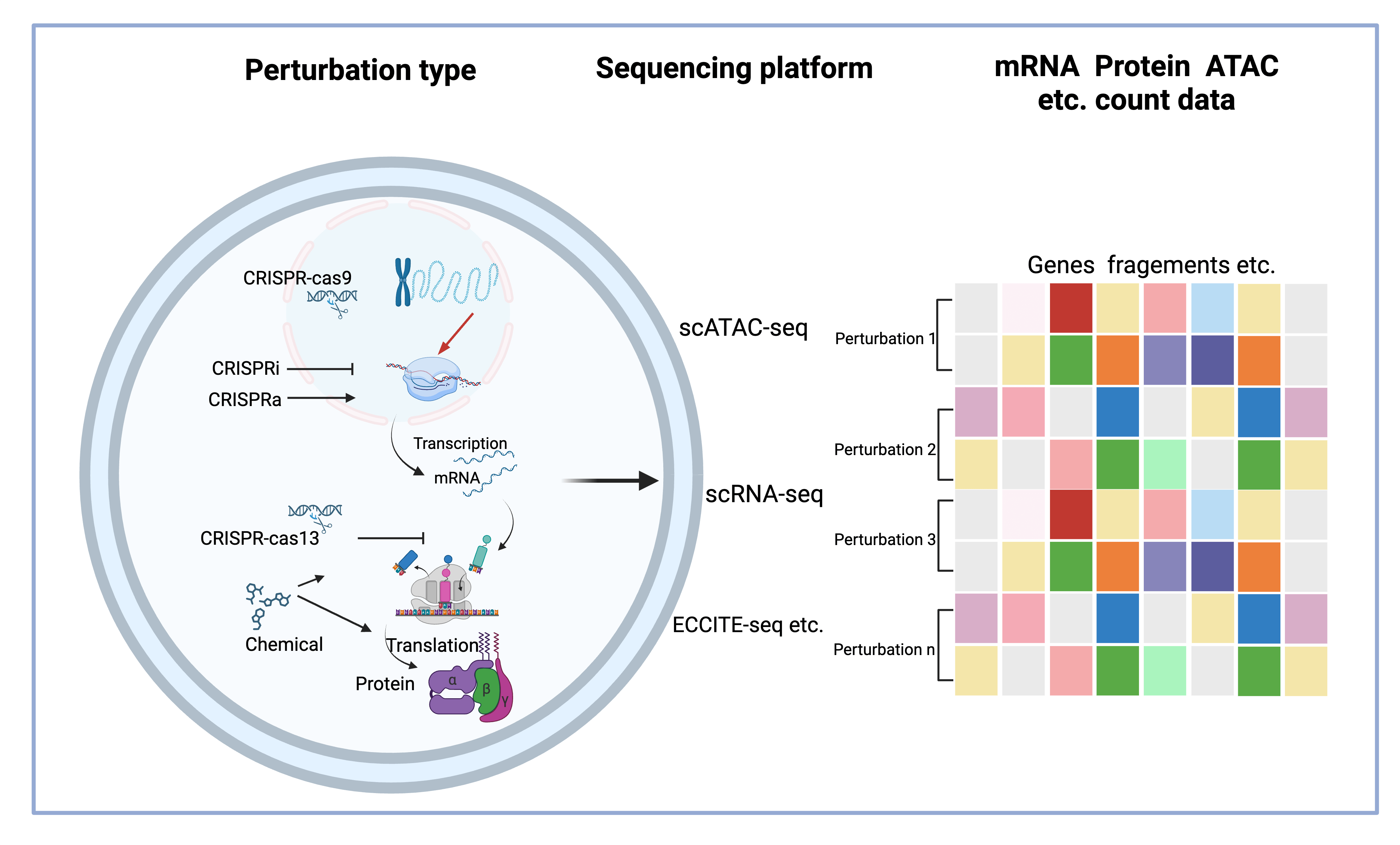 Perturb Seq Database Addgene: PEM040 [Multiome Perturb Seq SgRNA